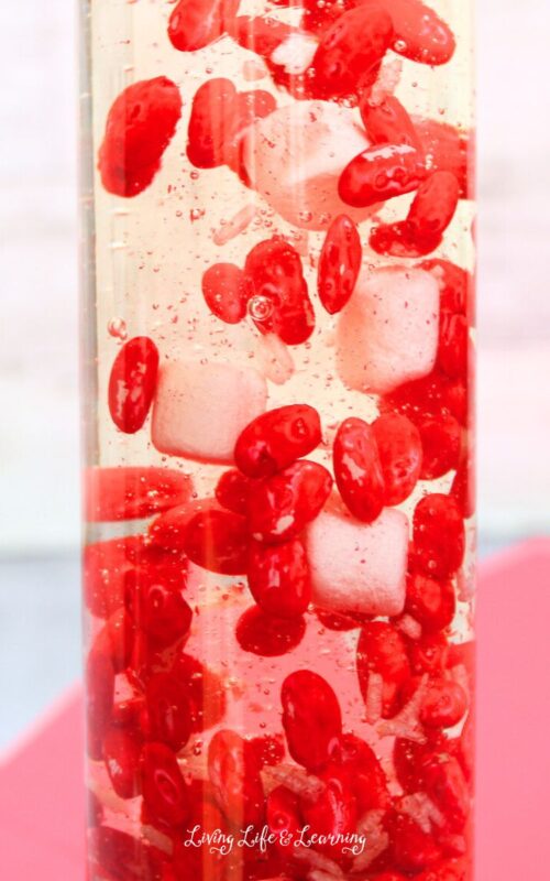 Blood Model in a Bottle: Exploring Vascular Systems
