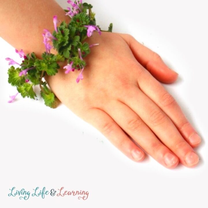Flower Activities for Elementary Students to Explore Nature