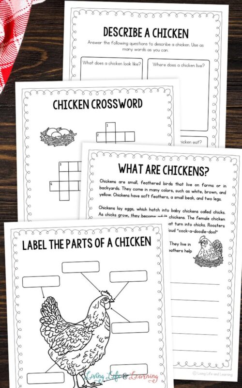 Chicken Worksheets to Explore Farm Life Education