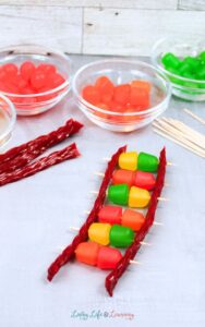 DNA Model with Candy: Creative Genetics Lesson