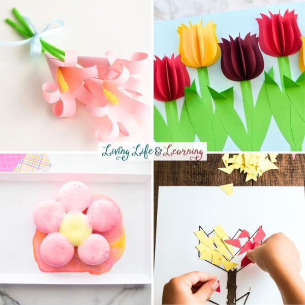 Flower Activities for Elementary Students to Explore Nature