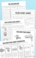 How Bees Make Honey Worksheets for Engaging Lesson
