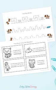 Pets Tracing Worksheets: Fine Motor and Pre-writing Practice