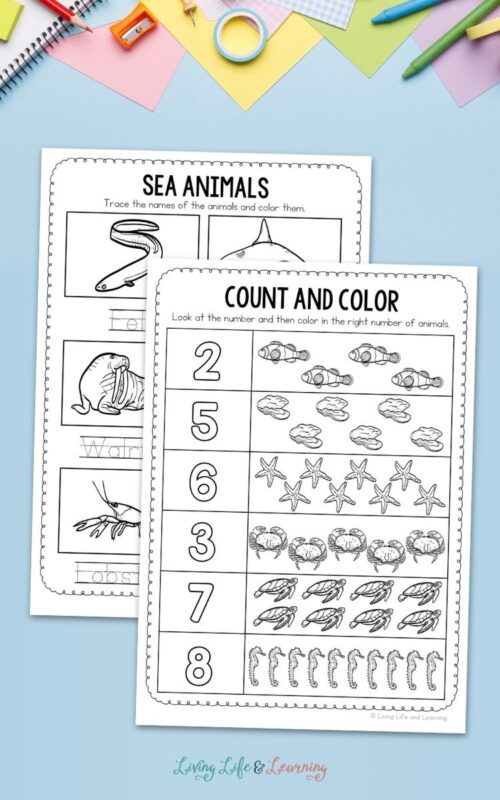 Sea Animal Worksheets for Kindergarten: Printable Ocean Activity