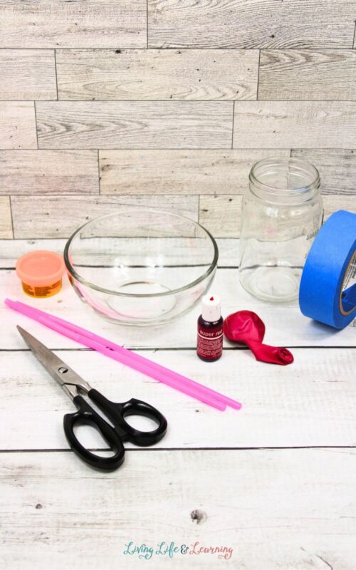 Simple Heart Pump Model: A Fun Human Body Science Experiment