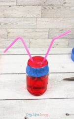 Simple Heart Pump Model: A Fun Human Body Science Experiment