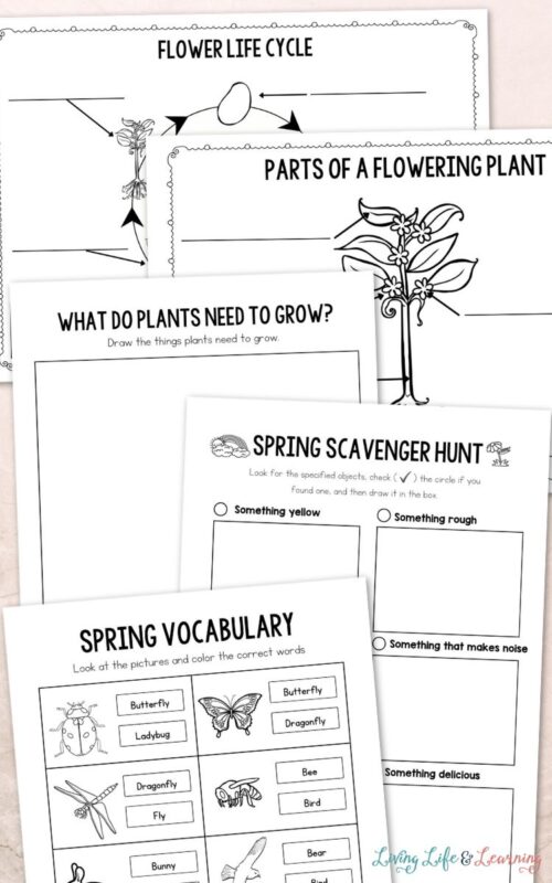Spring Worksheets for Kids: Seasonal Learning Fun
