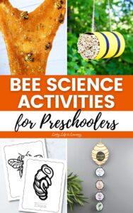 Bee Science Activities for Preschoolers: Exciting Hands-On Fun