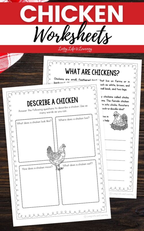 Chicken Worksheets to Explore Farm Life Education