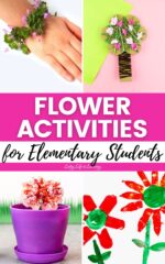 Flower Activities for Elementary Students to Explore Nature