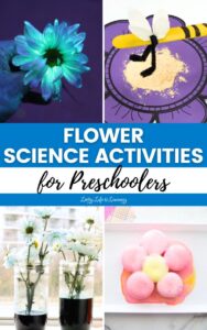 Flower Science Activities for Preschoolers to Explore This Spring