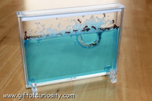 Engaging Ant STEM Activities for Kids to Explore Science Concepts