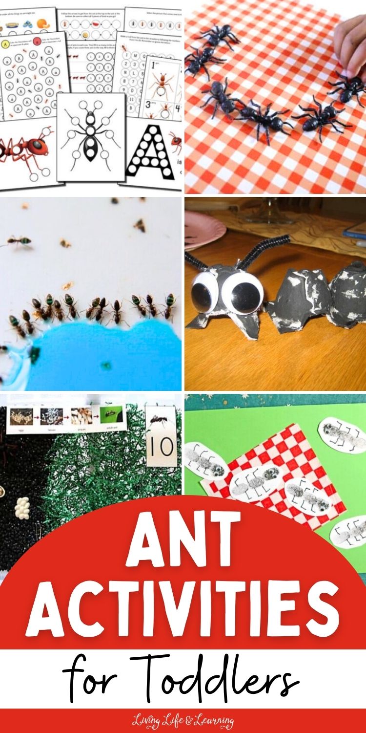 Ant Activities for Toddlers: Engaging Learning Ideas for Young Kids