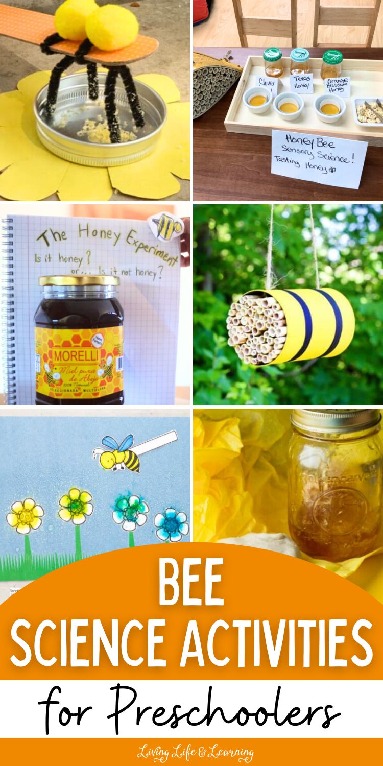 Bee Science Activities for Preschoolers: Exciting Hands-On Fun
