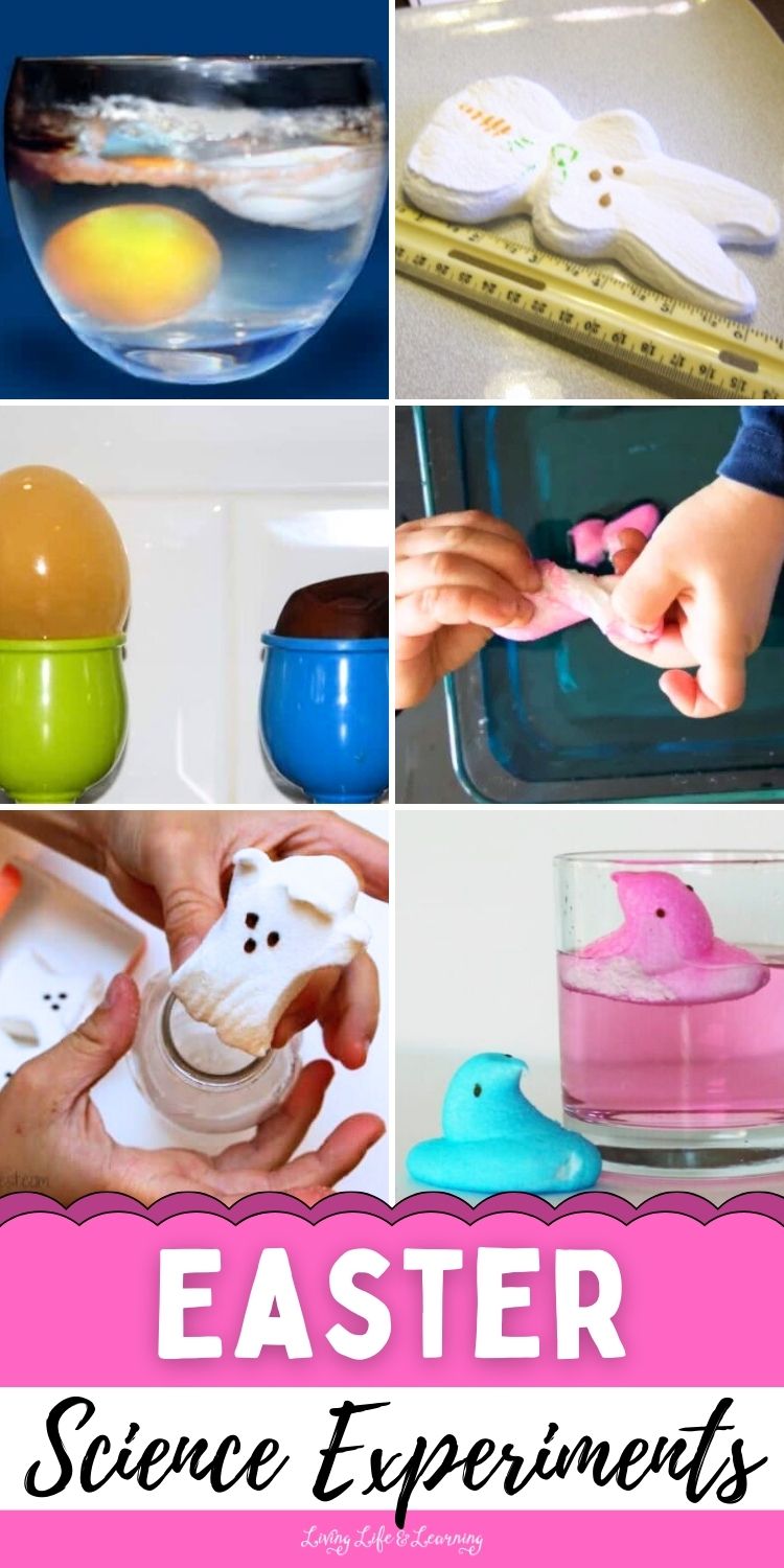 Easter Science Experiments: Blending Fun and Learning At Home