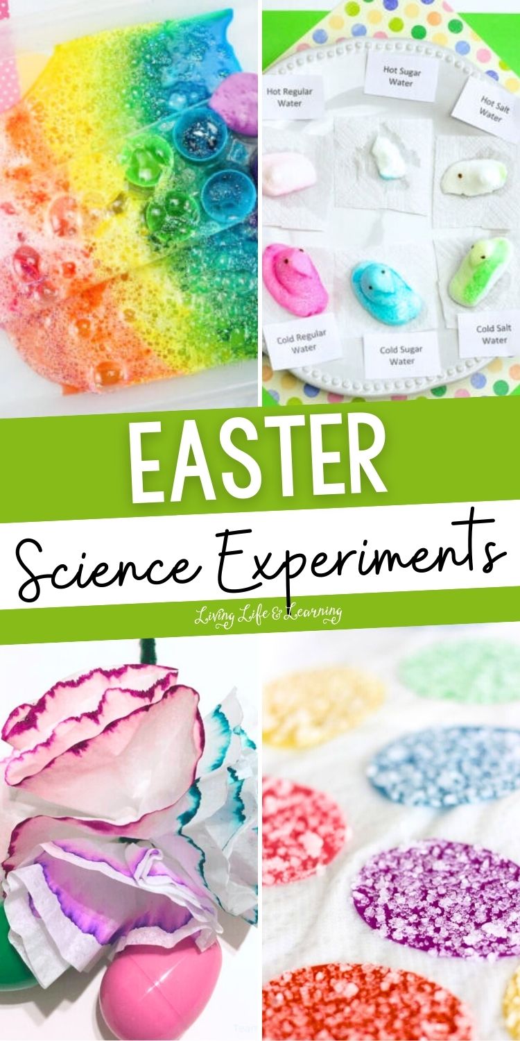 Easter Science Experiments: Blending Fun and Learning At Home