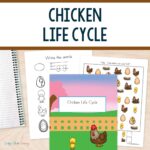 Chicken Worksheets to Explore Farm Life Education