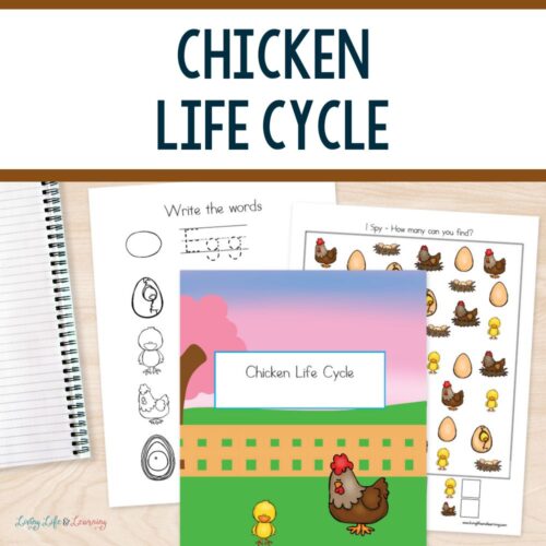 Chicken Worksheets to Explore Farm Life Education