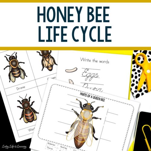 Bee Science Activities for Preschoolers: Exciting Hands-On Fun