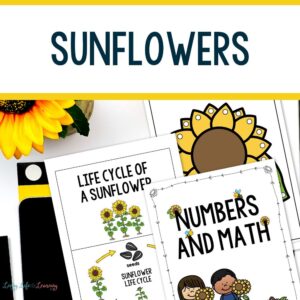 Sunflower Activity Sheets: Engaging Plant Science