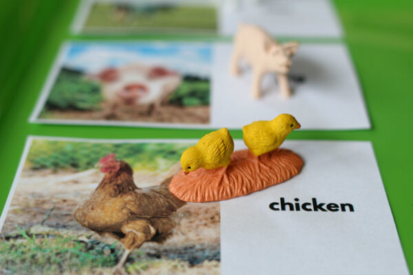Fun Farm Science Activities for Preschoolers