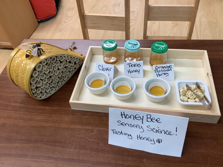 Bee Science Activities for Preschoolers: Exciting Hands-On Fun