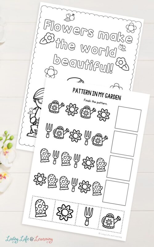 Flower Worksheets for Kindergarten and Early Learning