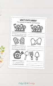 Flower Worksheets for Kindergarten and Early Learning