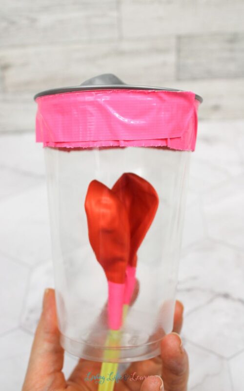 How to Make a Lung Model with Balloons Step by Step