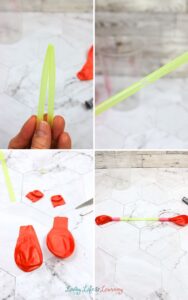 How to Make a Lung Model with Balloons Step by Step