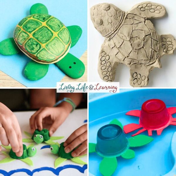 Sea Turtle Crafts for Preschoolers: Fun and Creative Projects