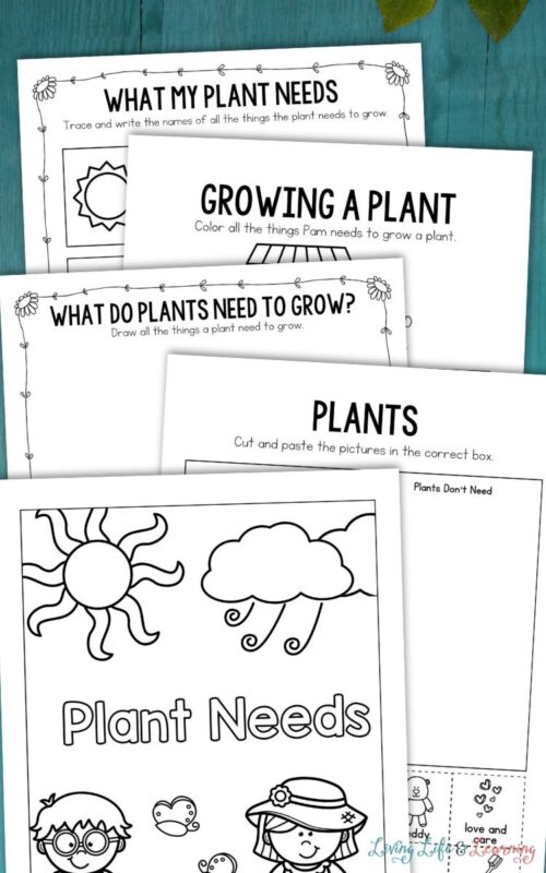 What Do Plants Need to Grow Worksheets: Fun Spring Printable