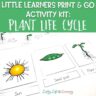 Plant Books for Kids