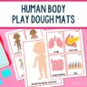 Five Senses Cut and Paste Worksheets for Learning