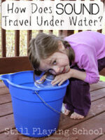 Beach Themed Science Activities for Fun Learning This Summer