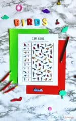 Backyard Birdwatching Worksheets: Engaging Outdoor Fun