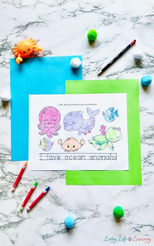 Ocean Tracing Worksheets for Fun Learning Adventures