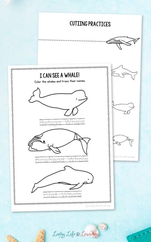 Whale Worksheets for Preschoolers: Explore Ocean Life