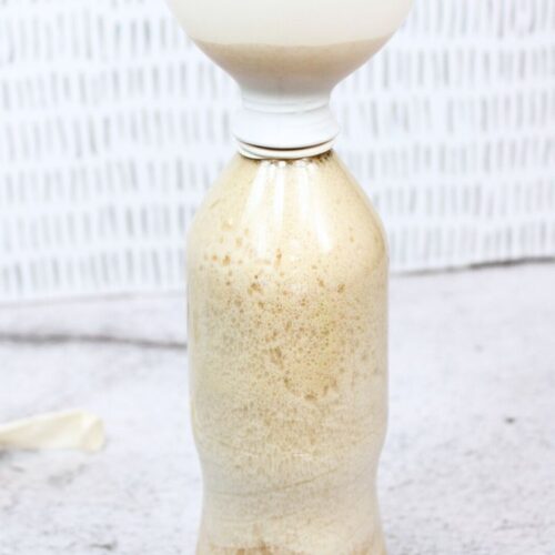 Yeast and Balloon Experiment: Learning About Chemical Reactions