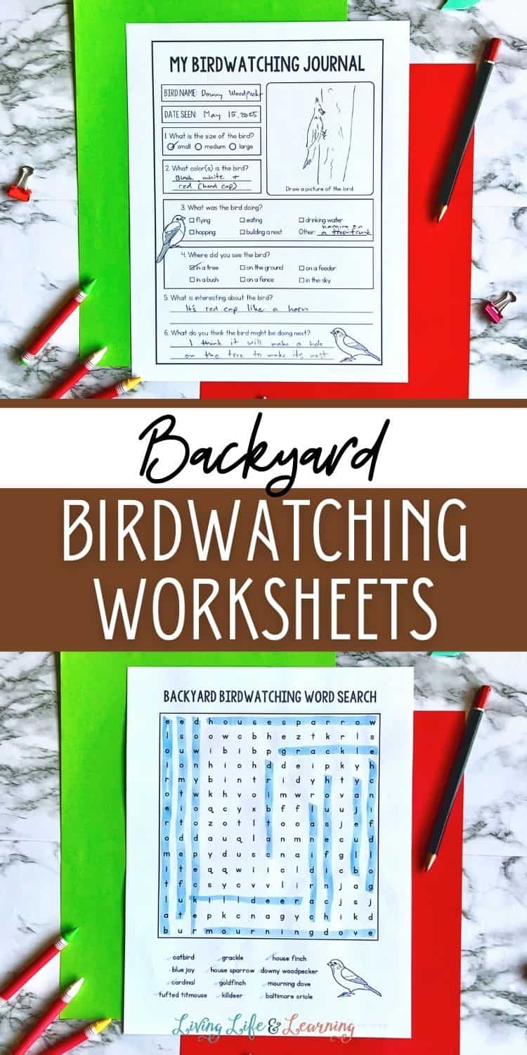 Backyard Birdwatching Worksheets: Engaging Outdoor Fun