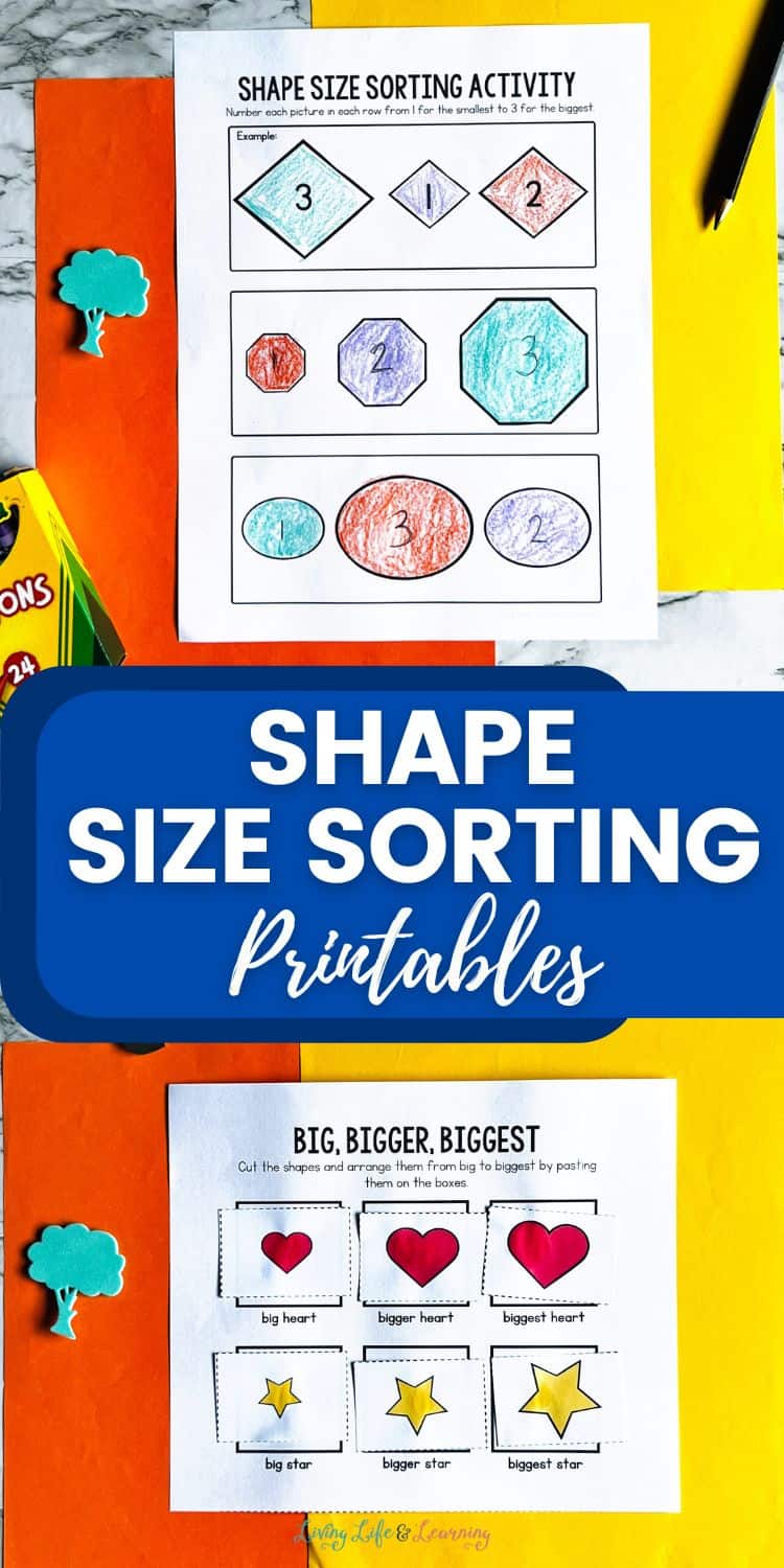 Shape Size Sorting Printables for Vocabulary and Early Math Skills