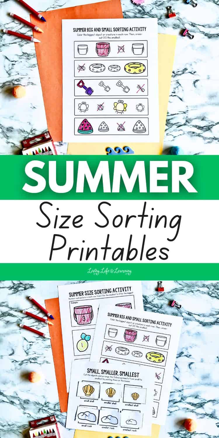 Summer Size Sorting Printables: Easy No-Prep Ideas