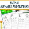 Books About Animal Habitats for Preschoolers: Fun Way to Learn
