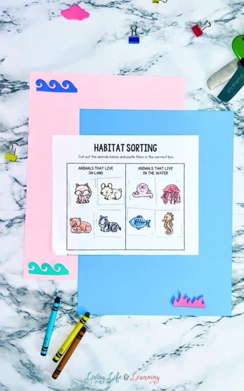 Animal Habitat Cut and Paste Worksheets for Science Lessons