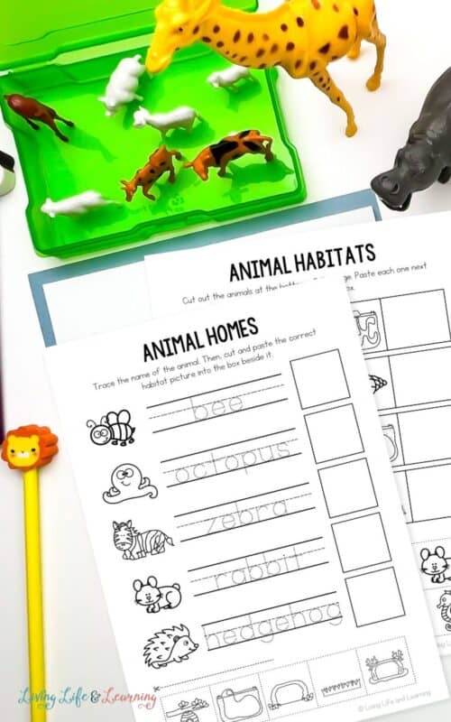 Animal Habitat Cut and Paste Worksheets for Science Lessons