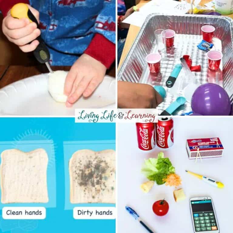 Health STEM Activities that Promote Hygiene Learning