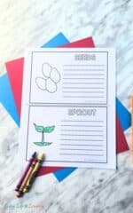Printable Watermelon Life Cycle Book Activities for Summer