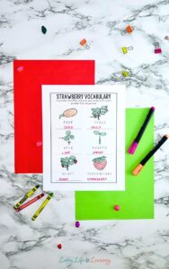 Strawberry Activity Sheets: Plant Printables for Elementary Kids