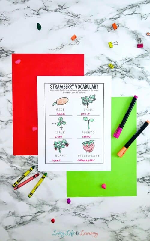 Strawberry Activity Sheets: Plant Printables for Elementary Kids