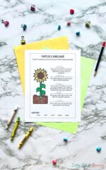 Sunflower Activity Sheets: Engaging Plant Science